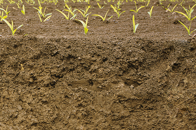 How the soil type influences soil characteristics